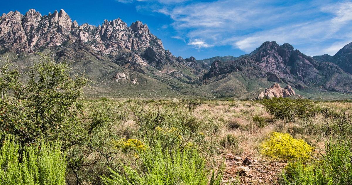 Notice of Availability for the Organ Mountains-Desert Peaks National Monument Draft ...
